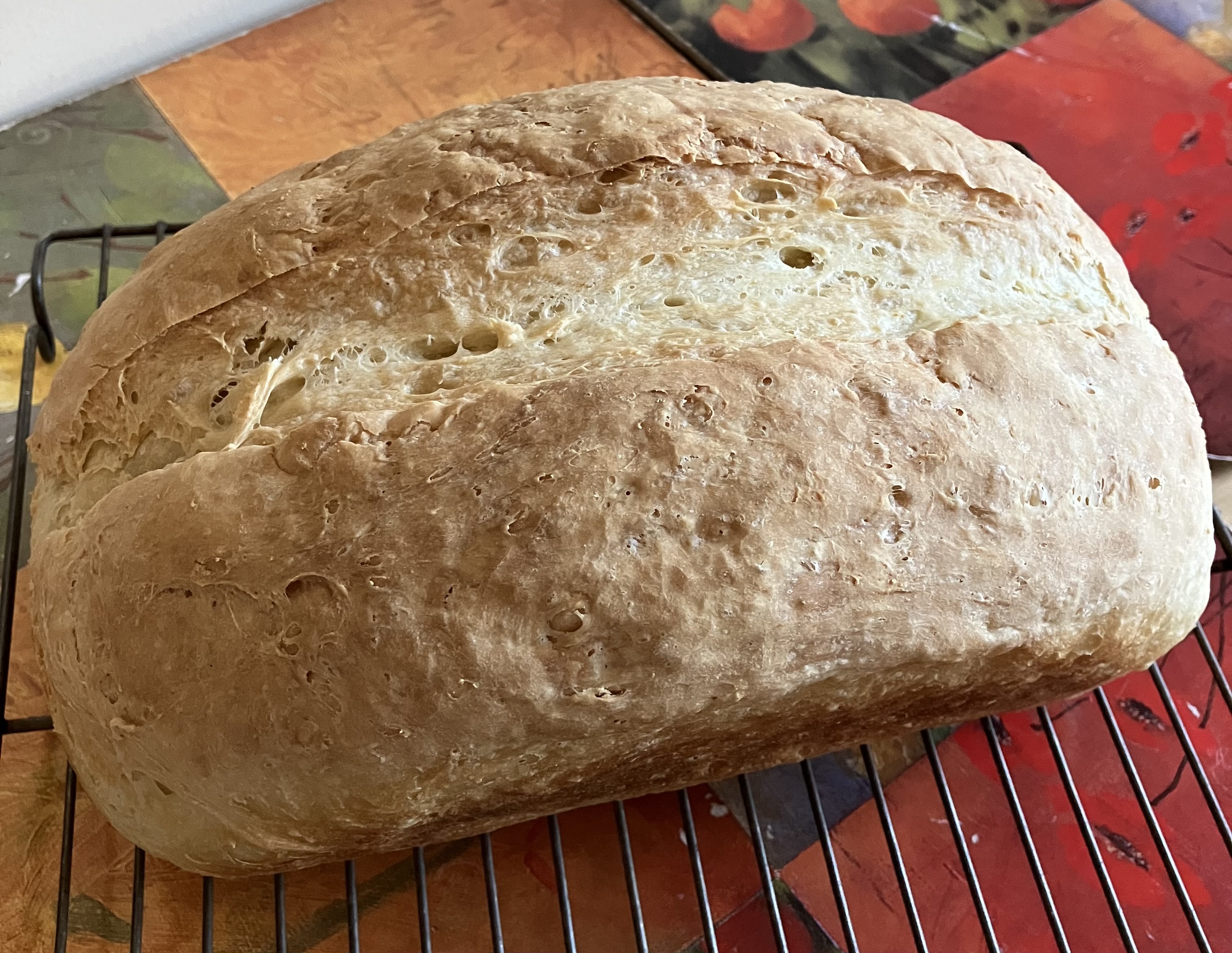 Bread of life